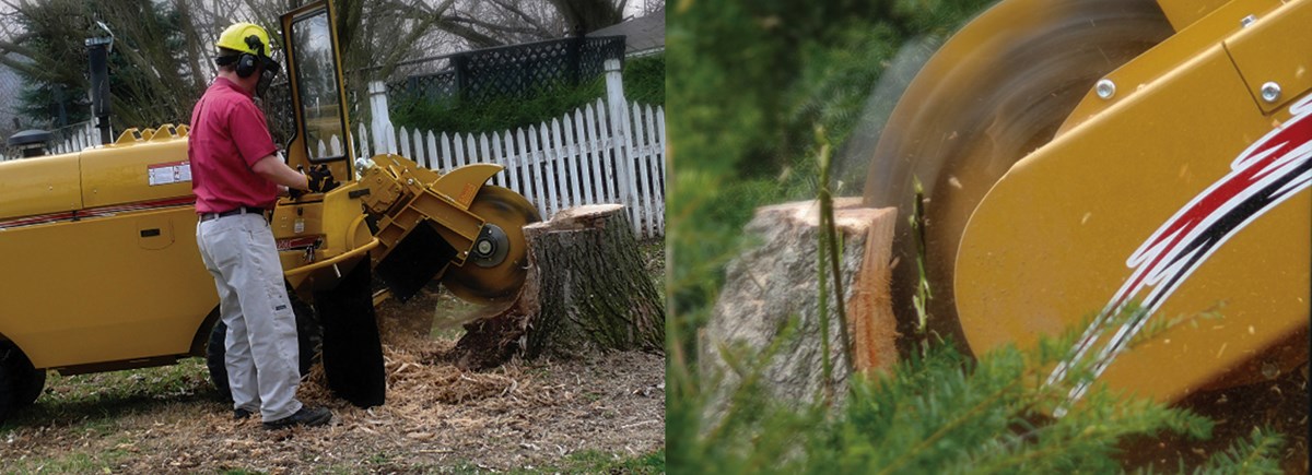 Affordable Stump Grinding
